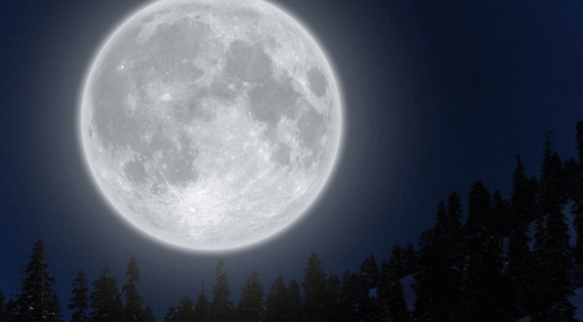 What Are the Meanings of God’s Festivals? – David Treybig - TruthSum