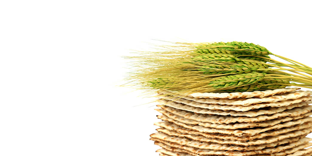 Bread: A Biblical Symbol - Roger Meyer - TruthSum